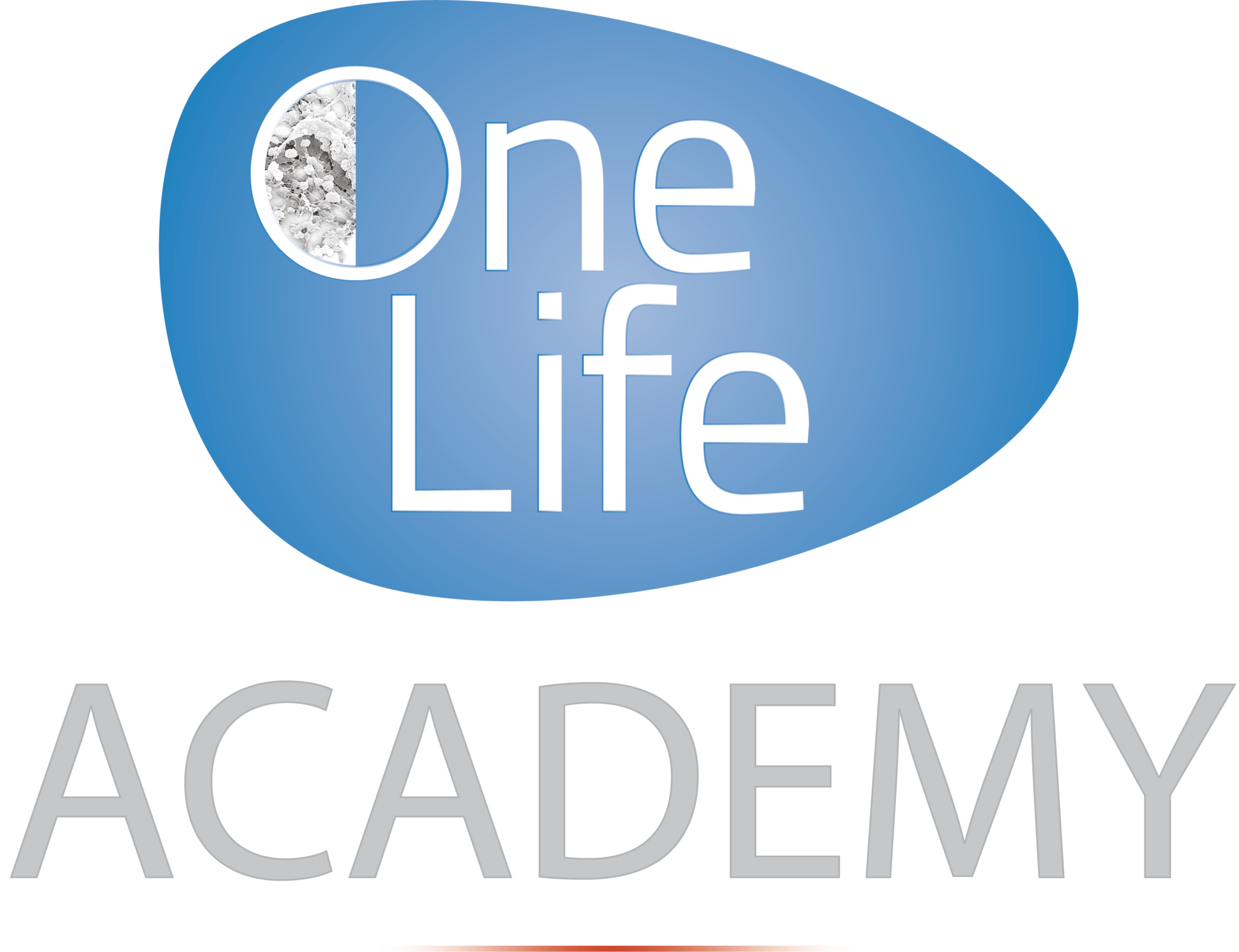 Register for the OL Academy | OneLife